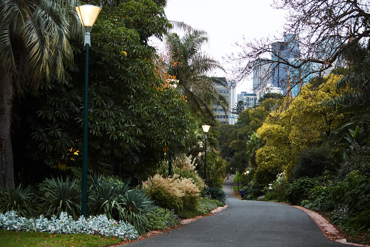 Mercy Place East Melbourne | Find a Provider | My Aged Care